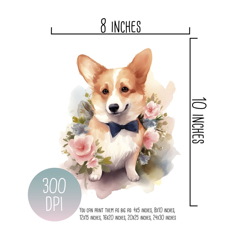 Wedding Corgi Watercolor, Corgi PNG, Watercolor Clipart, Ideal for ...