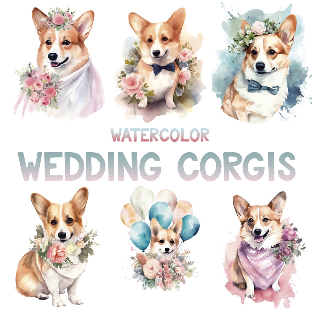 Wedding Corgi Watercolor, Corgi PNG, Watercolor Clipart, Ideal for ...