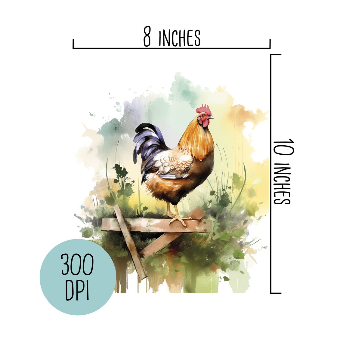 Watercolor Chicken Chicken Clipart Watercolor PNG Watercolor - Etsy