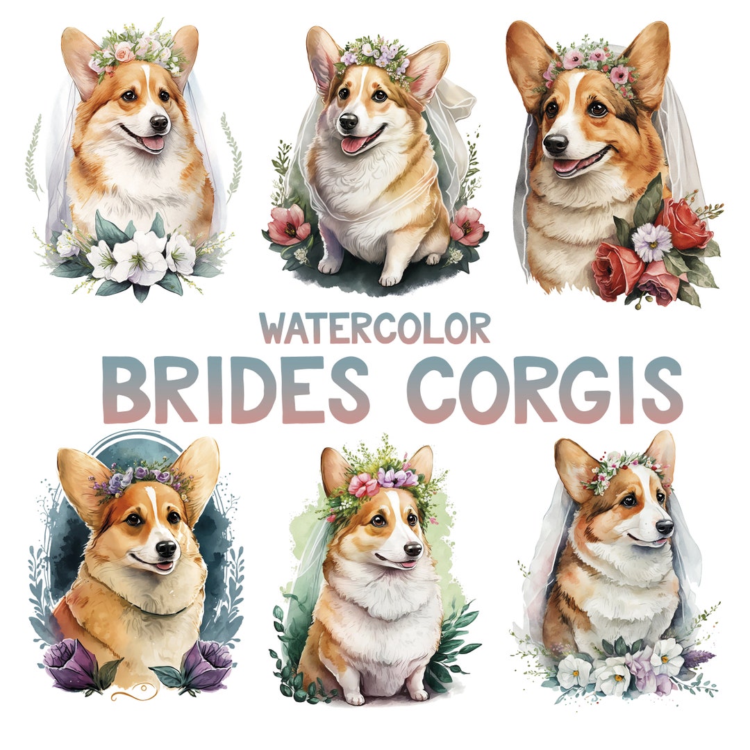 Wedding Corgi Watercolor, Corgi PNG, Watercolor Clipart, Ideal for ...