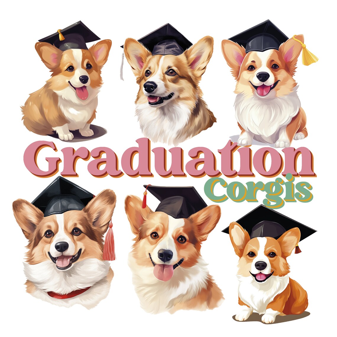 Graduation Corgi PNG, Cute Animal Clipart, Corgi Portraits With ...