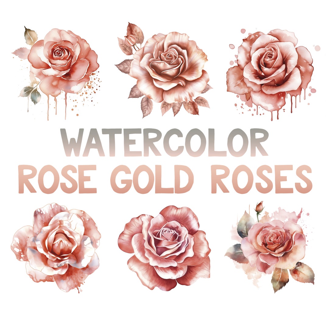 Rose Gold Watercolor Roses, Flower Watercolor Clipart, Rose Gold ...