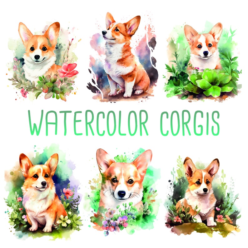 Corgi Watercolor PNG, Corgi Puppy Clipart, Transparent Background ...