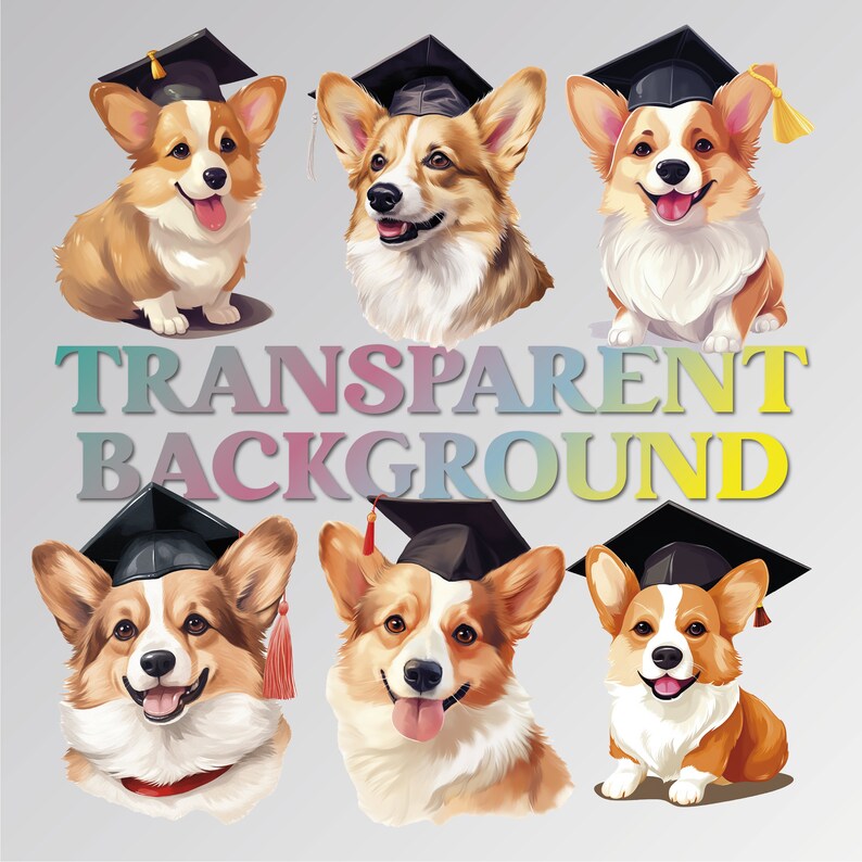Graduation Corgi PNG, Cute Animal Clipart, Corgi Portraits With ...