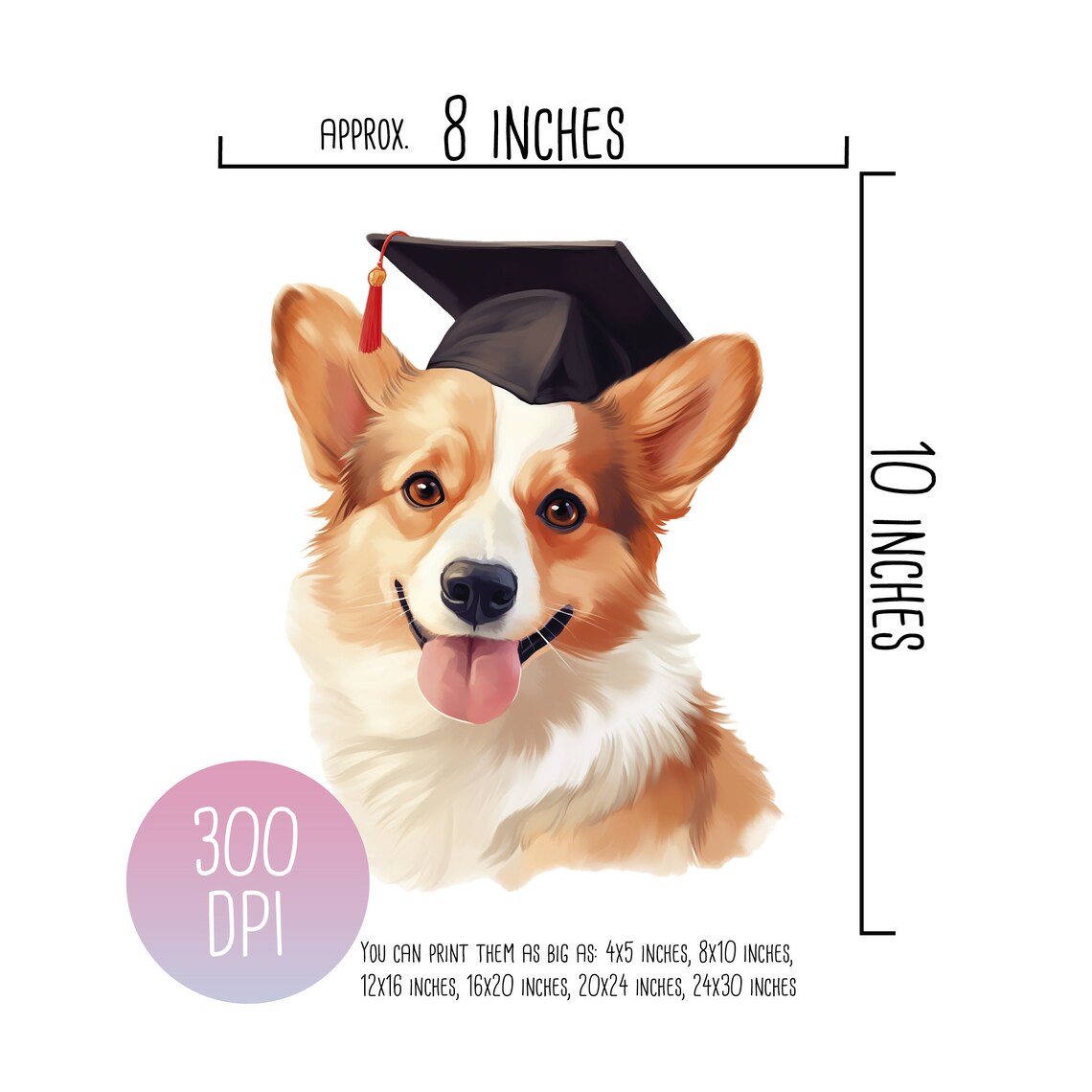 Graduation Corgi PNG, Cute Animal Clipart, Corgi Portraits With ...