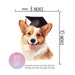 Graduation Corgi PNG, Cute Animal Clipart, Corgi Portraits With ...