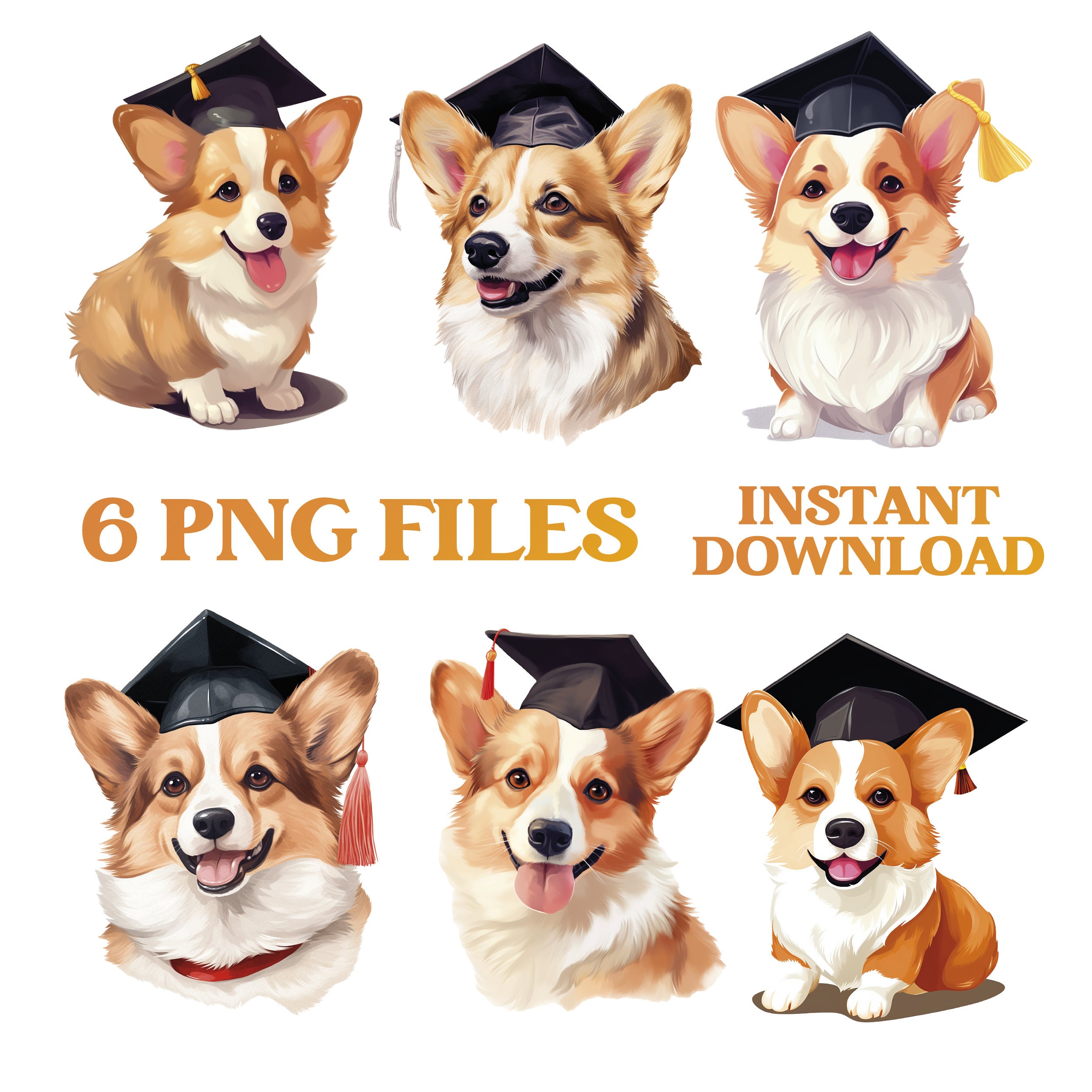Graduation Corgi PNG, Cute Animal Clipart, Corgi Portraits With ...