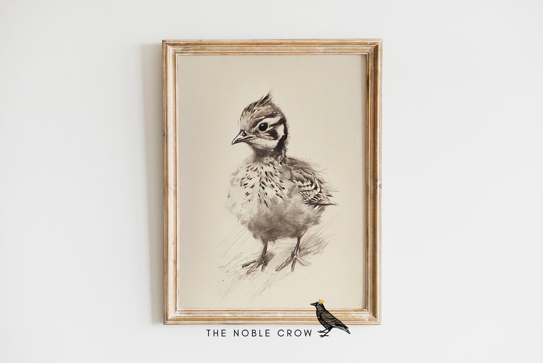 Woodland Baby Pheasant Animal Print, Nursery Decor, PRINTABLE Art ...