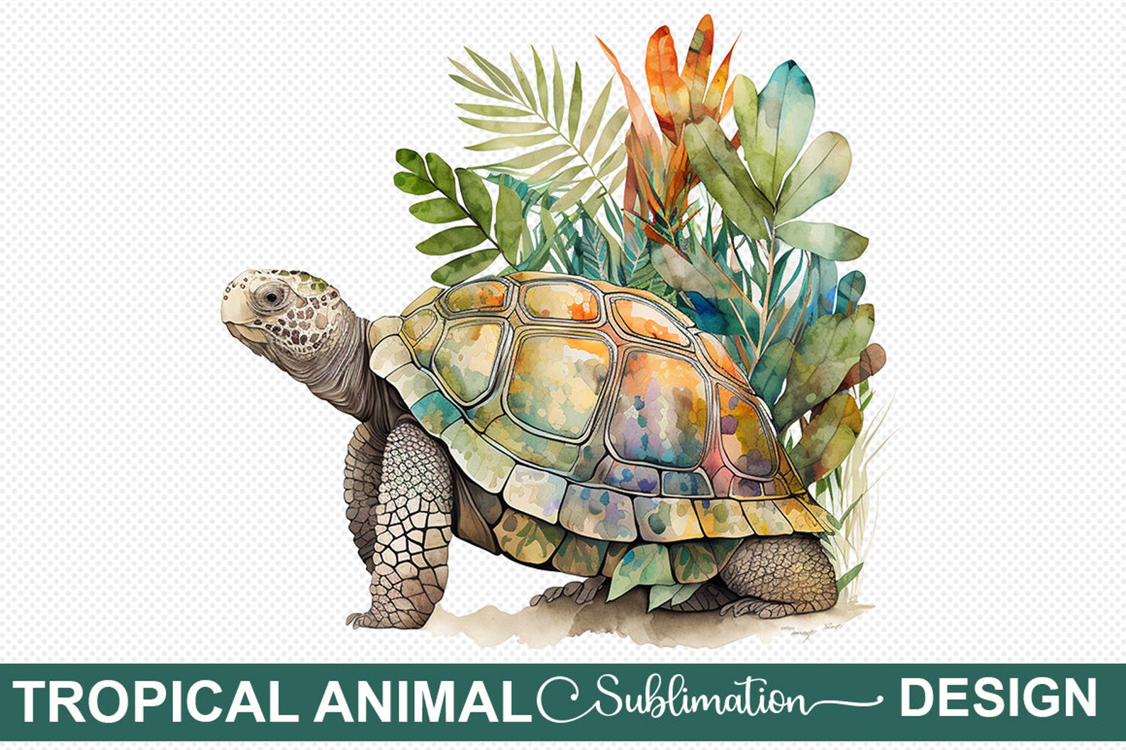 Watercolor Tropical Animal Sublimation, Bard Sublimation, Gondar ...