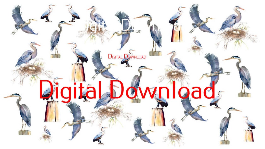 Watercolor Sea Bird Decoupage Drawings - Sea Gulls and Herons High ...