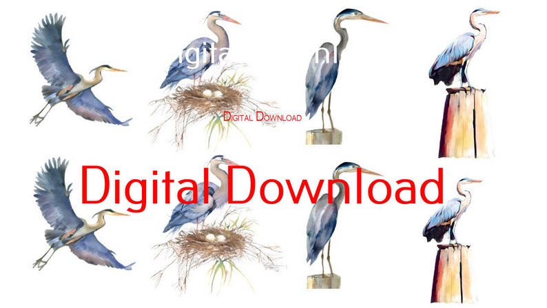 Watercolor Sea Bird Decoupage Drawings - Sea Gulls and Herons High ...