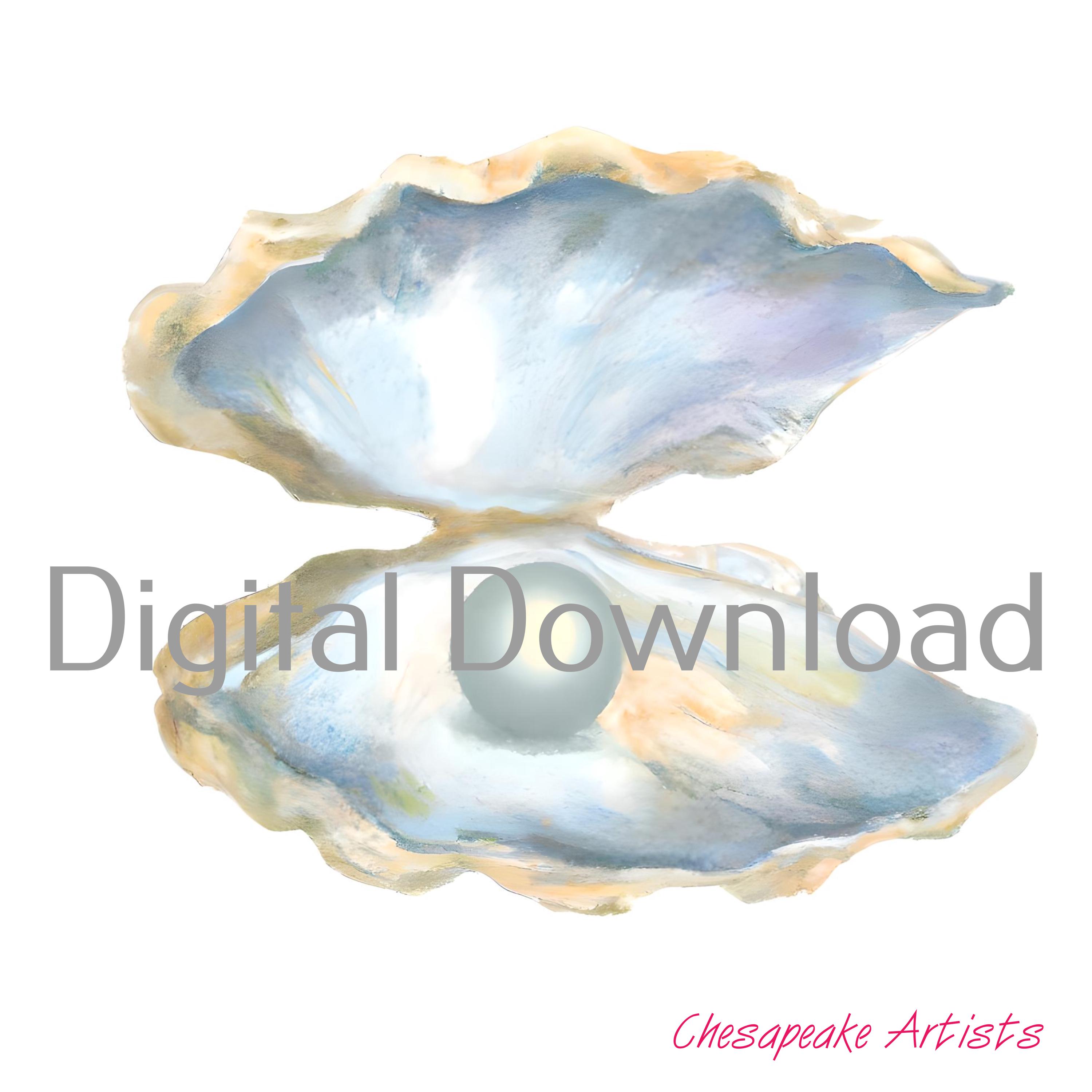 Watercolor Oyster Shell Drawings for Wall Art and Decoupage - High ...