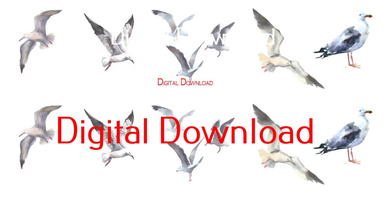 Watercolor Sea Bird Decoupage Drawings - Sea Gulls and Herons High ...