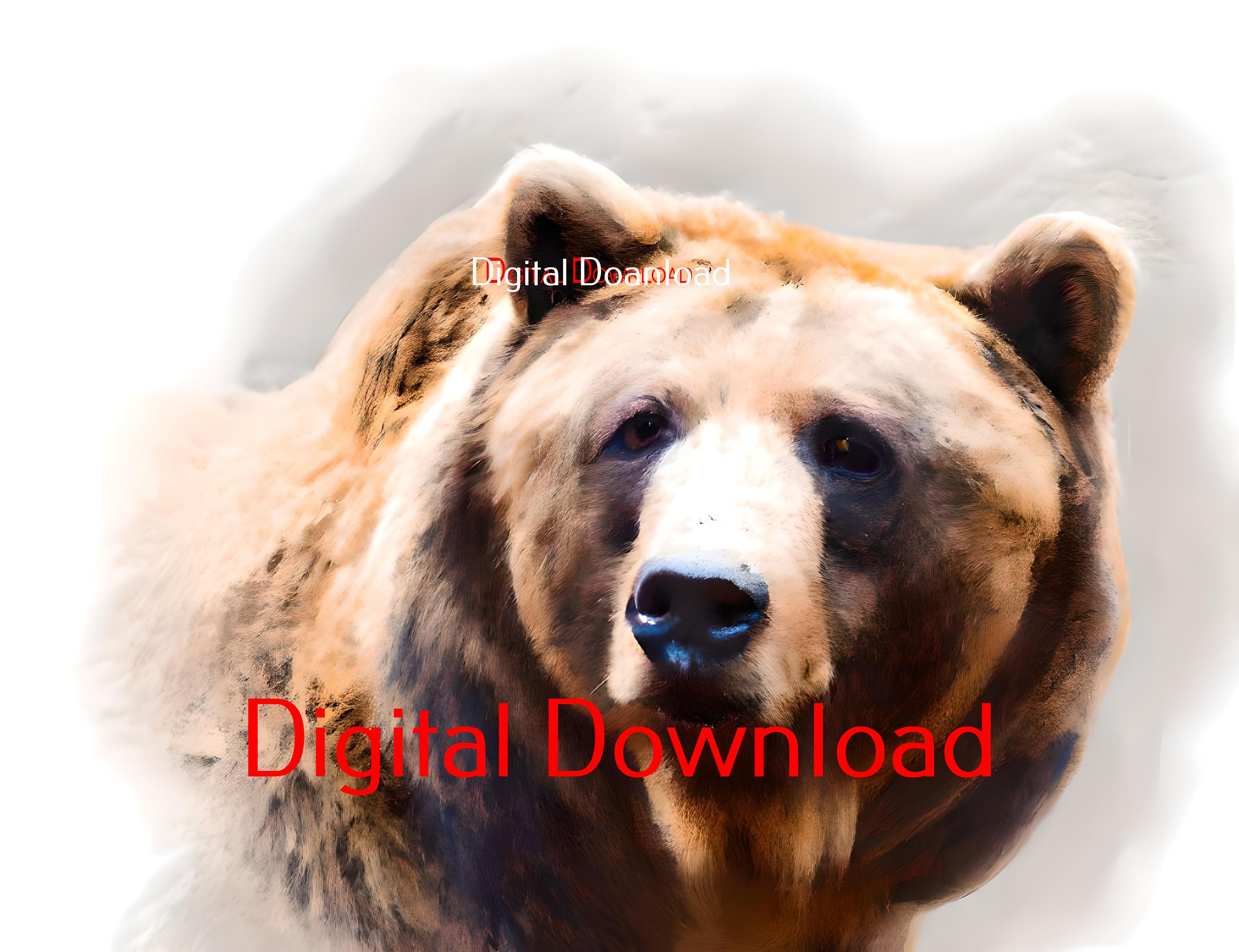 Watercolor Bears Drawings - High Quality Digital Download - Etsy