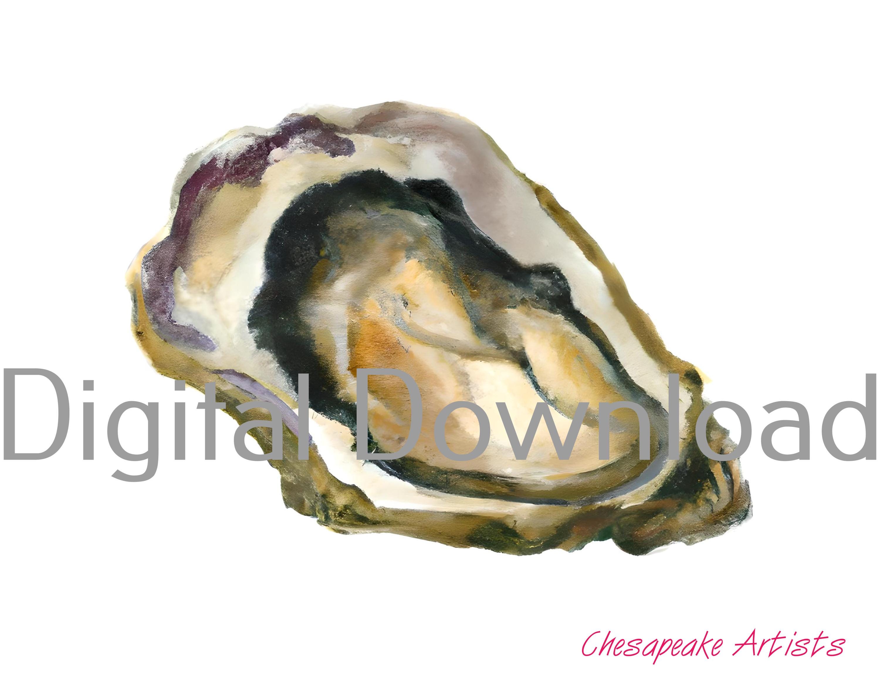 Watercolor Oyster Shell Drawings for Wall Art and Decoupage - High ...