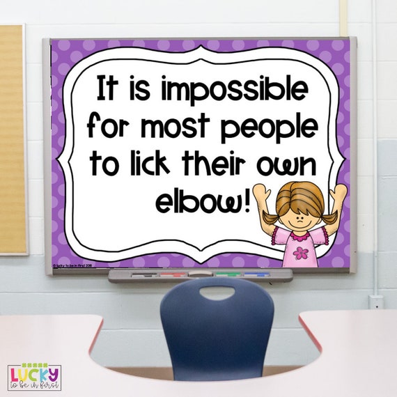 Did You Know Facts For Kids