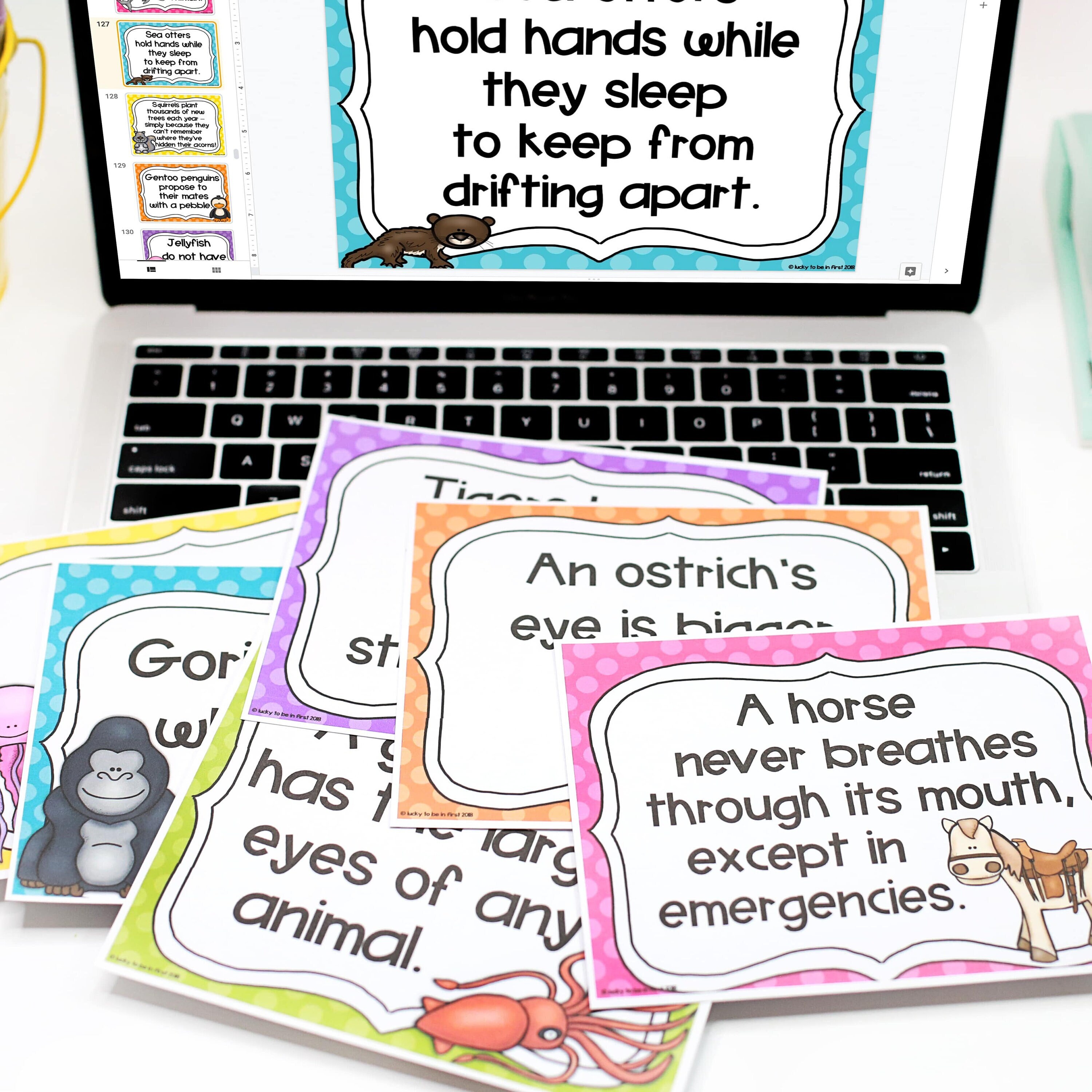 Fun Facts for Kids, Facts for Kids, Did You Know? Facts, Random Facts ...