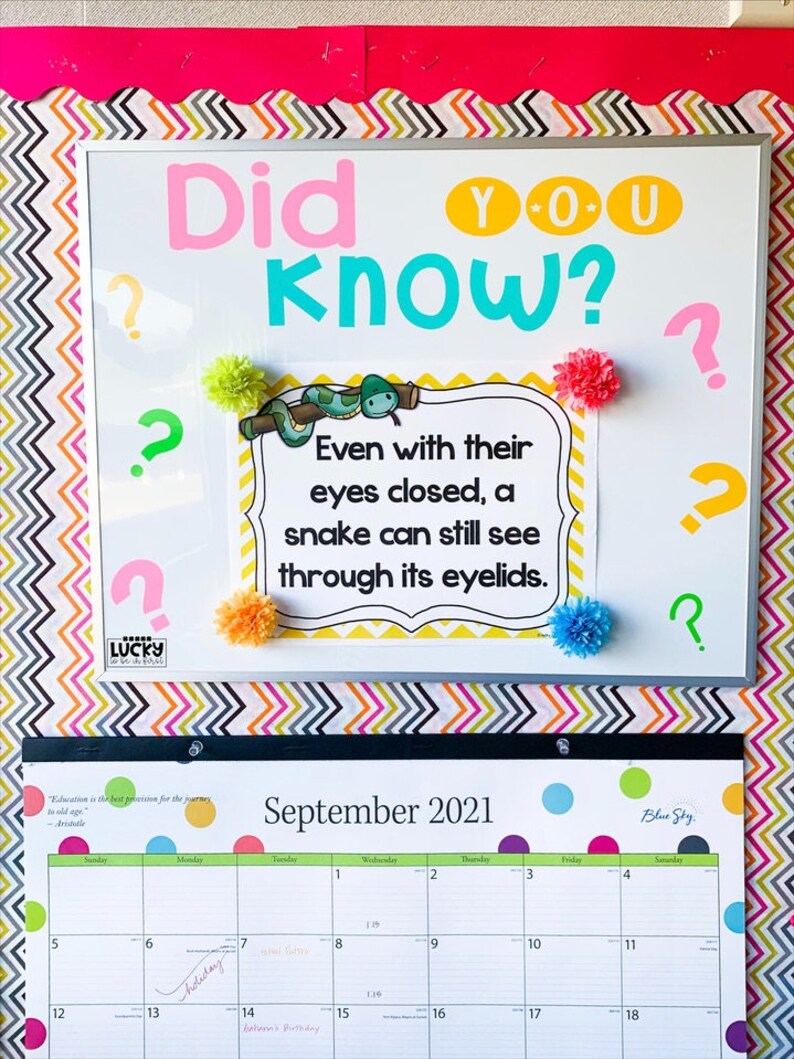 Fun Facts for Kids, Facts for Kids, Did You Know? Facts, Random Facts ...