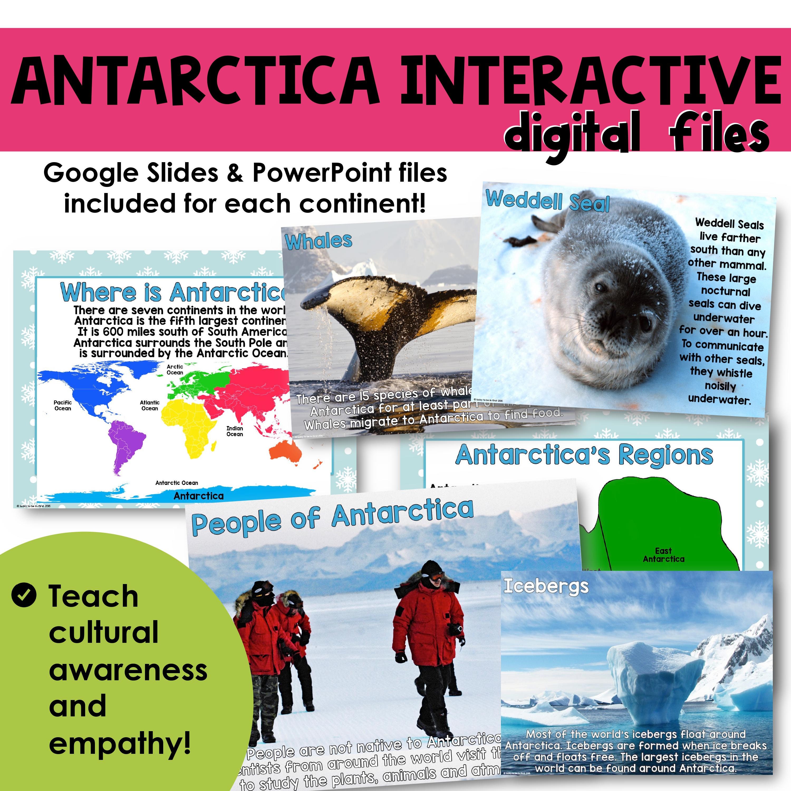 Seven Continents Unit, Powerpoint for 7 Continents, Homeschool Lessons ...