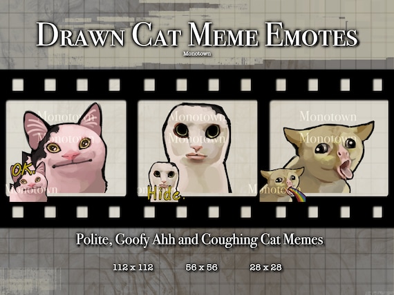 Memes With Cats 100 X 100 Pixels