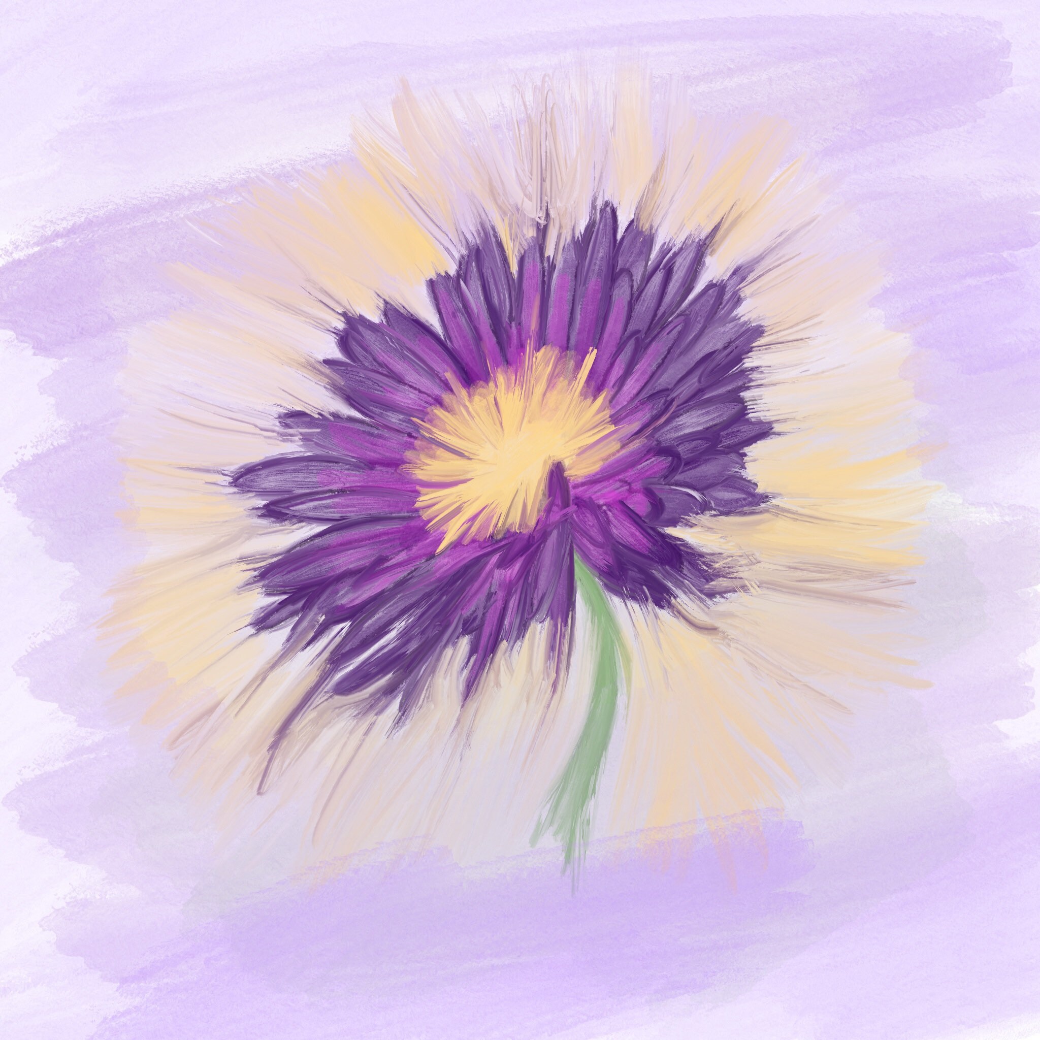 September Birth Flower, Aster. - Etsy