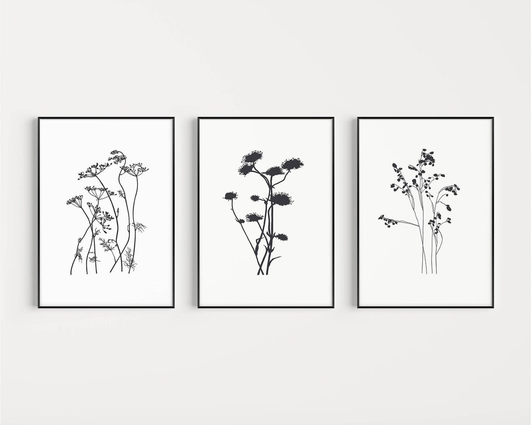 Set of Three Wildflower Designs, Silhouette White Background, Digital ...