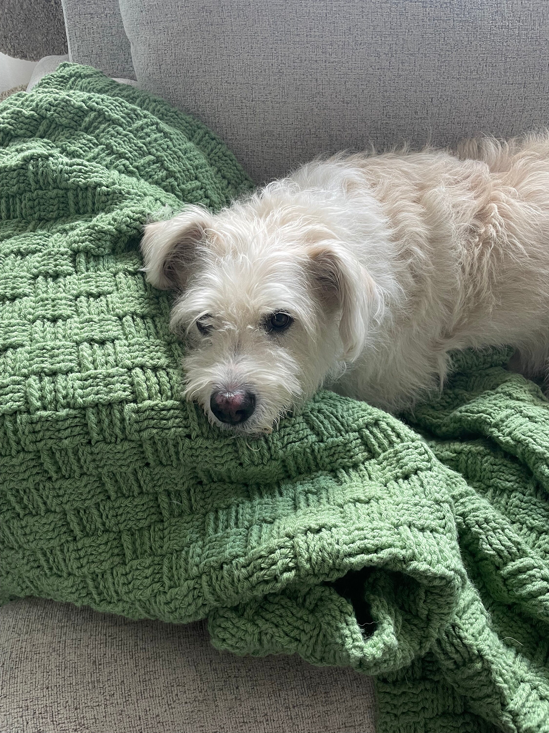 The Riley Blanket Basketweave Crochet Blanket Sage Green - Etsy