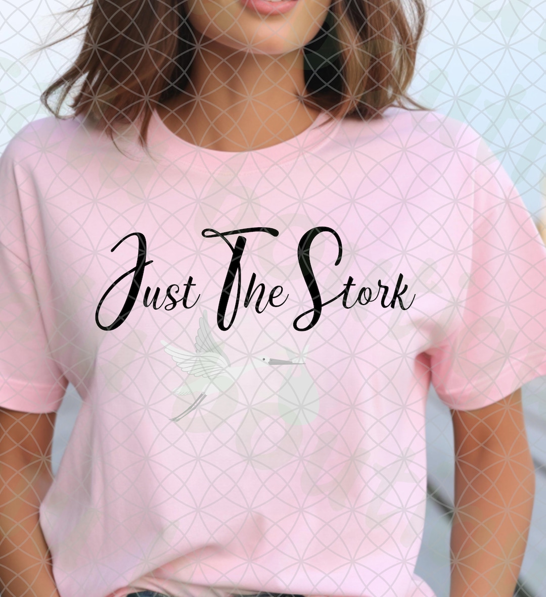 Just the Stork, Ivf Baby Carrier, Ivf, Embryo Transfer - Etsy