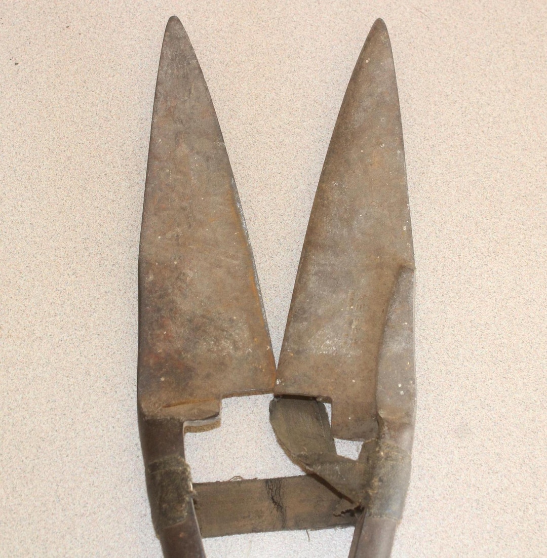Vintage Sheep Wool Shearing Scissors - Etsy