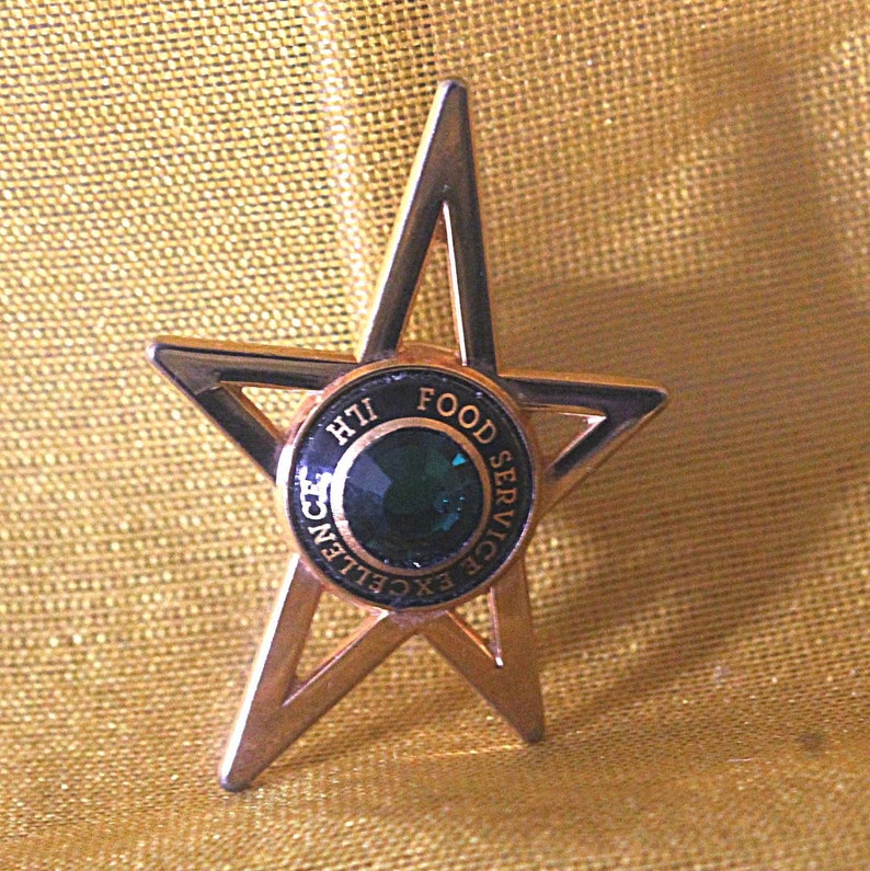 Loudoun Hospital food Service Excellence ILH Lapel Pin - Etsy
