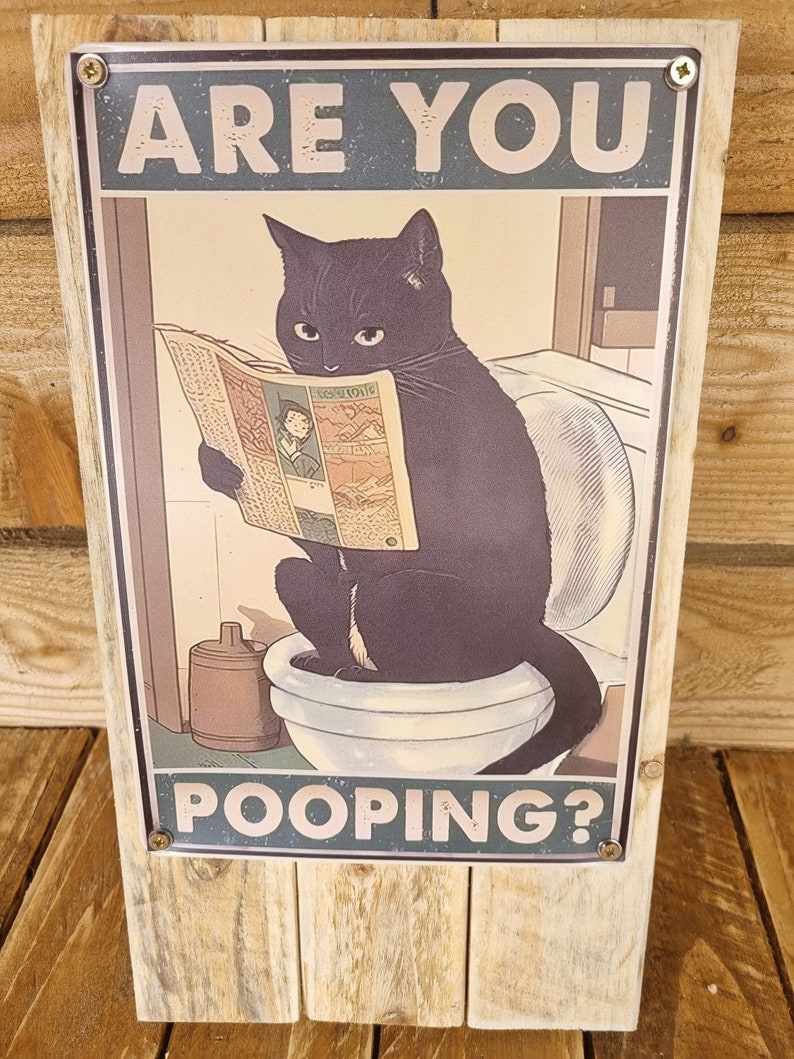1, Cat Litter Box 2, Outdoor Furniture 3, Outdoor Cat Litter 4,garden ...