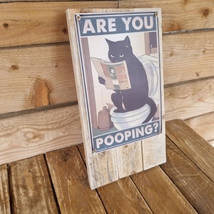 1, Cat Litter Box 2, Outdoor Furniture 3, Outdoor Cat Litter 4,garden ...
