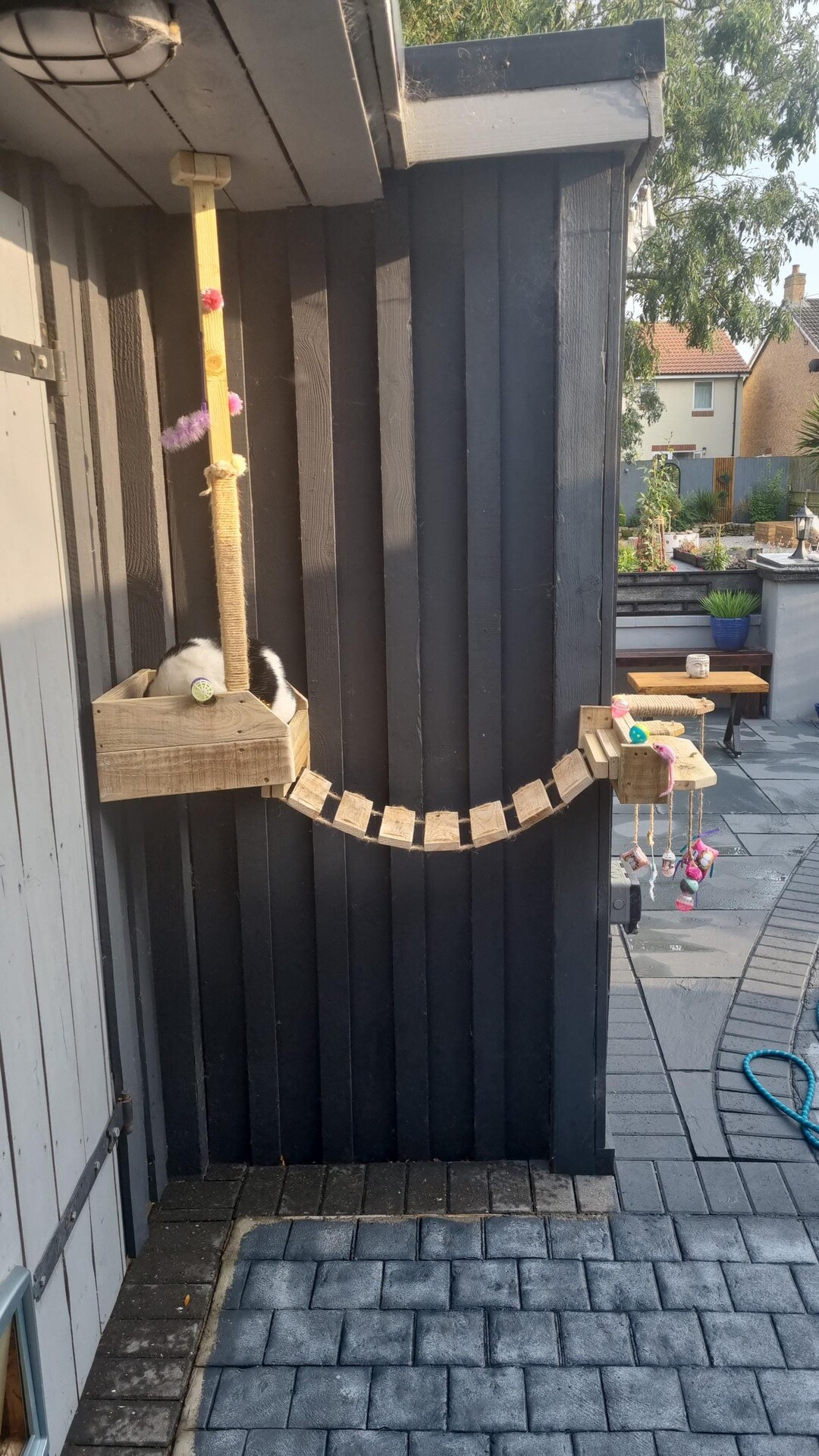 Cat Rope Bridge - Etsy