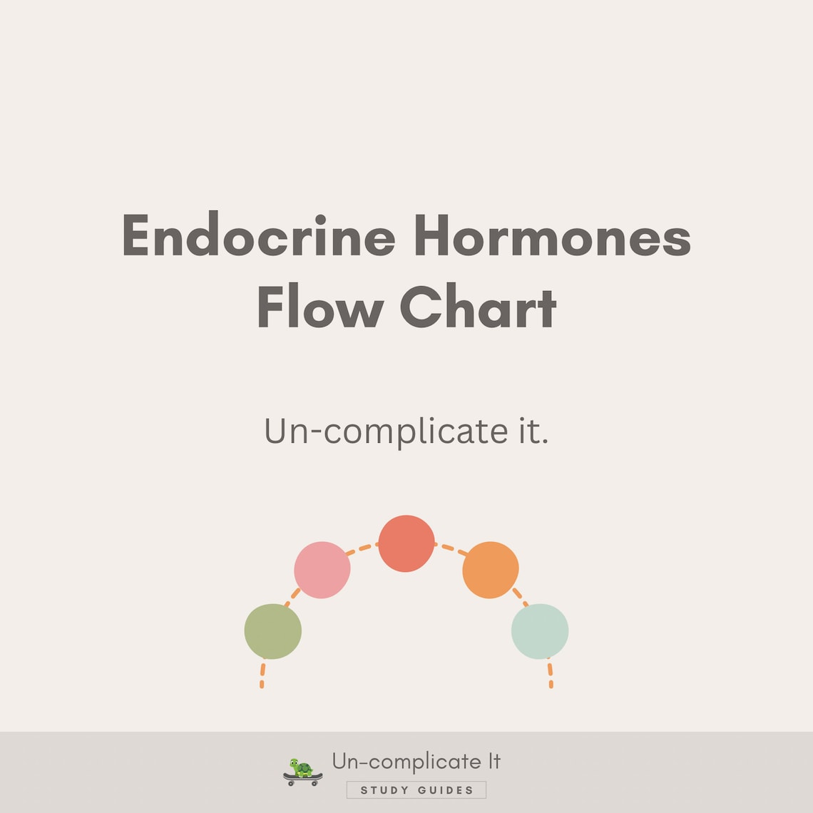 Endocrine Hormones Flow Chart + Practice Sheet - Etsy