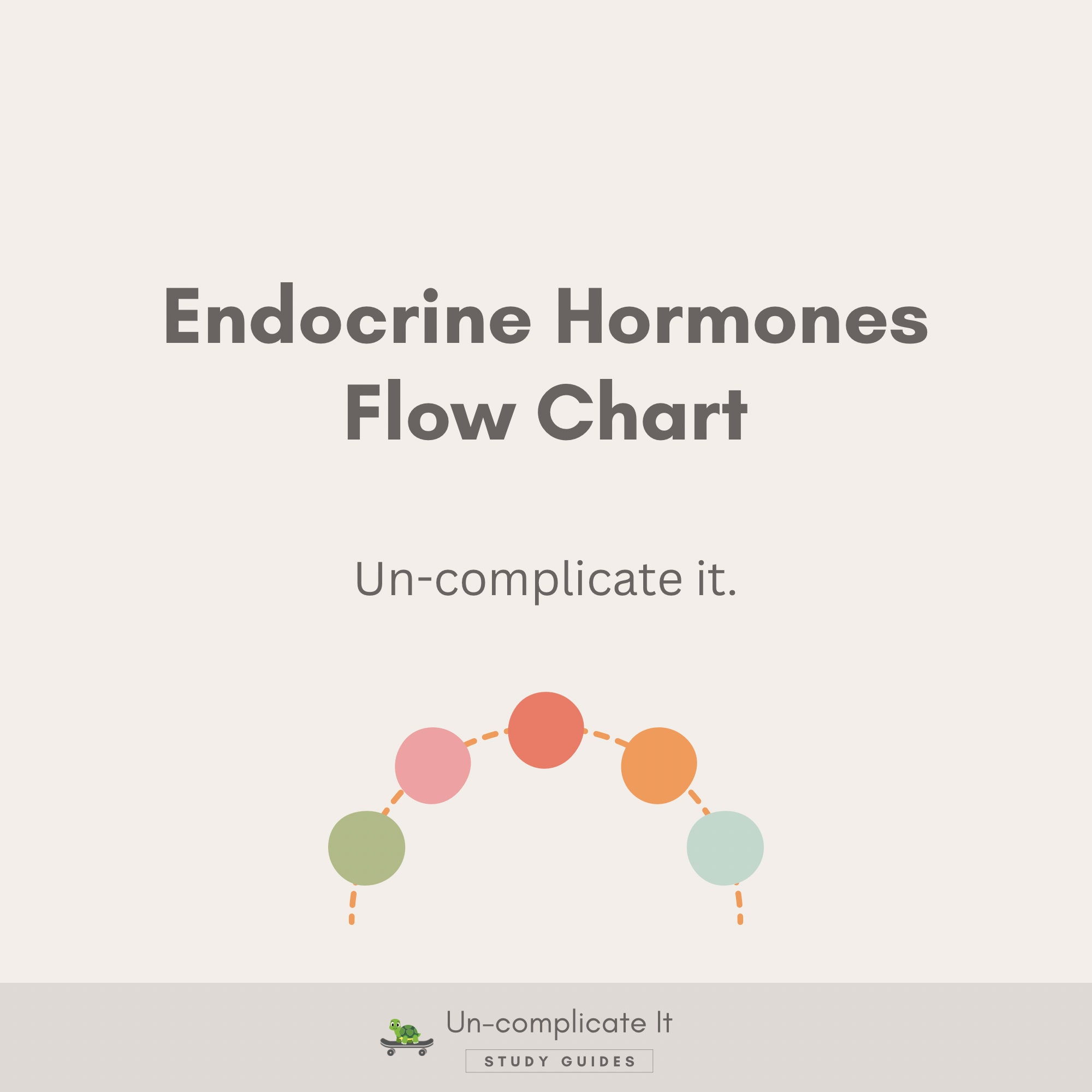 Endocrine Hormones Flow Chart + Practice Sheet - Etsy