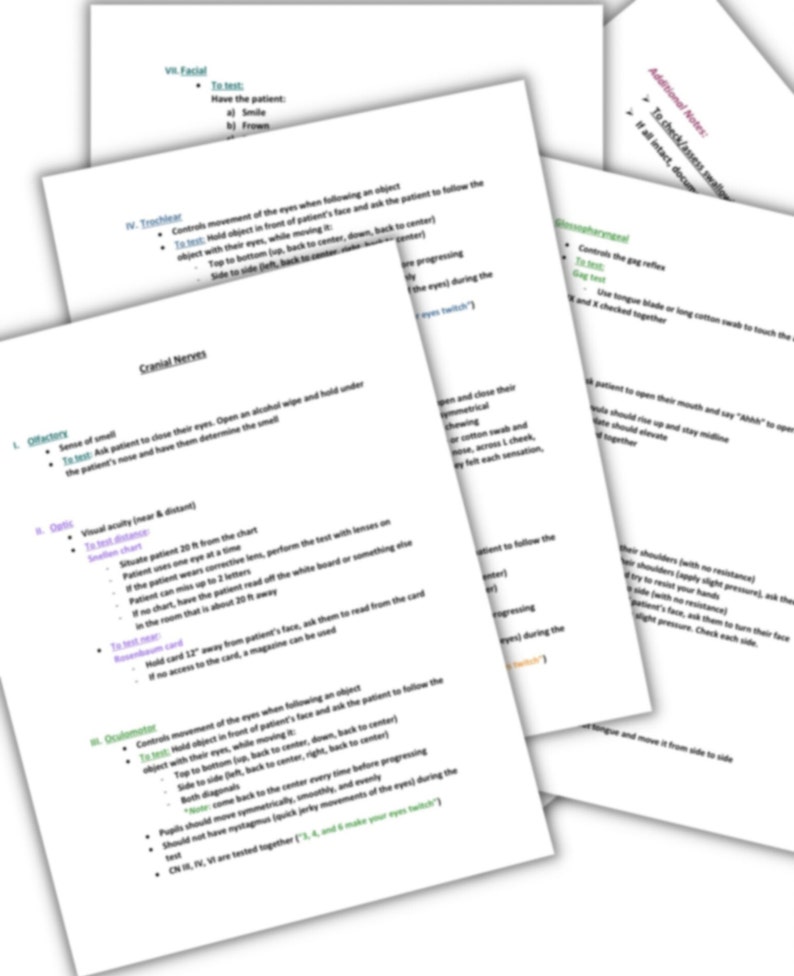 A Guide to the Cranial Nerves Assessment - Etsy