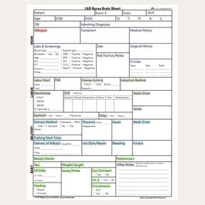 Labor and Delivery Nurse Brain Sheet: L&D Report Handoff (PDF Digital ...