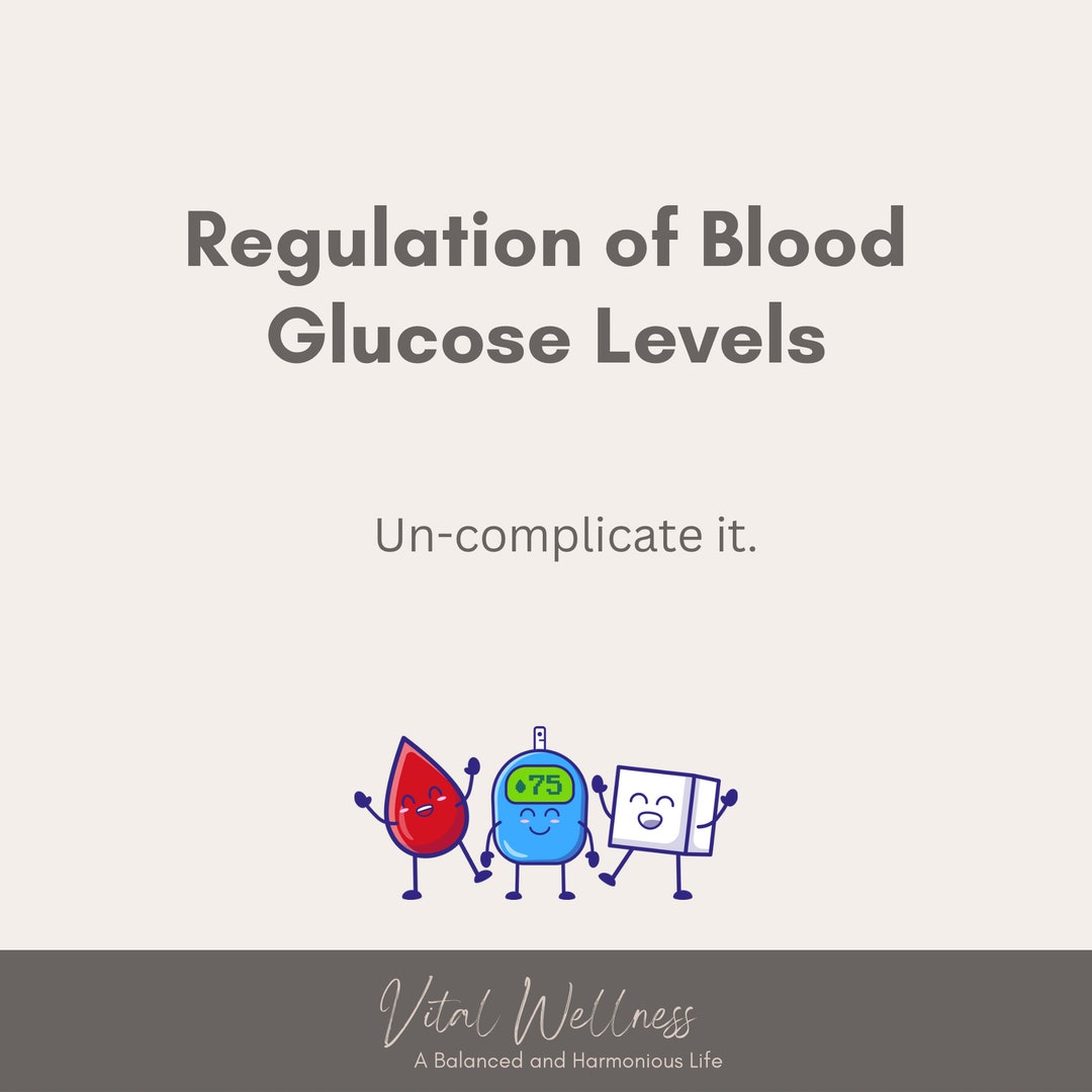 Regulation of Blood Glucose Levels - Etsy