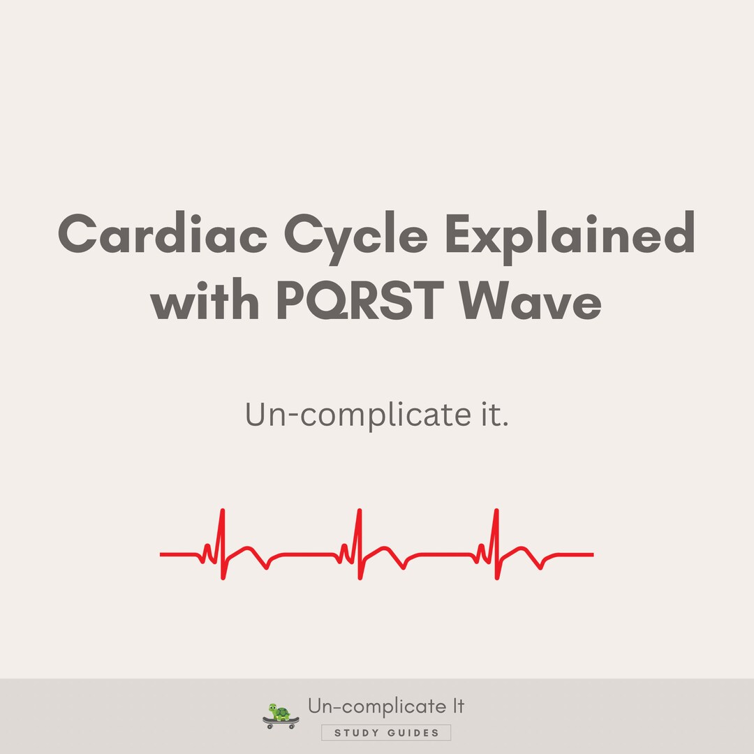 Cardiac Cycle With PQRST Wave - Etsy