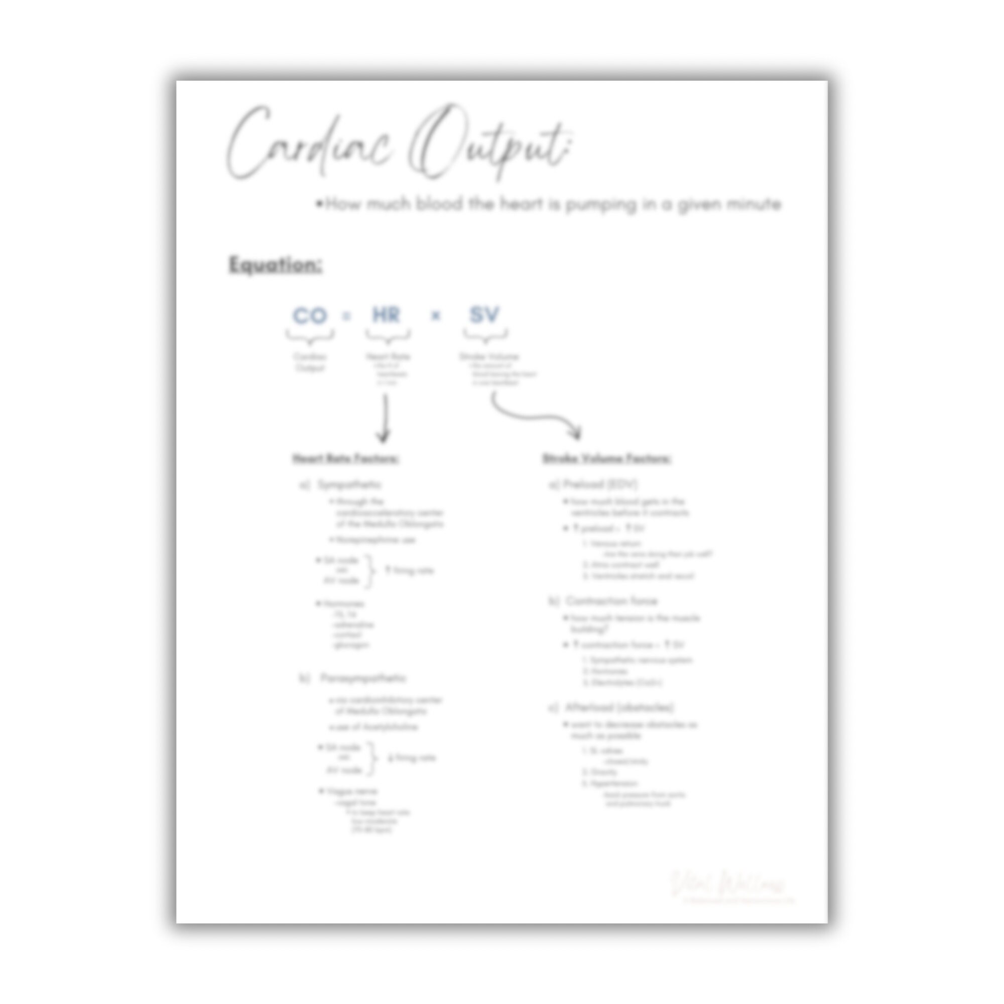 The Components of Cardiac Output & Blood Pressure Bundle - Etsy