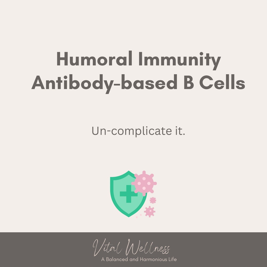 Humoral Immunity Diagram - Etsy