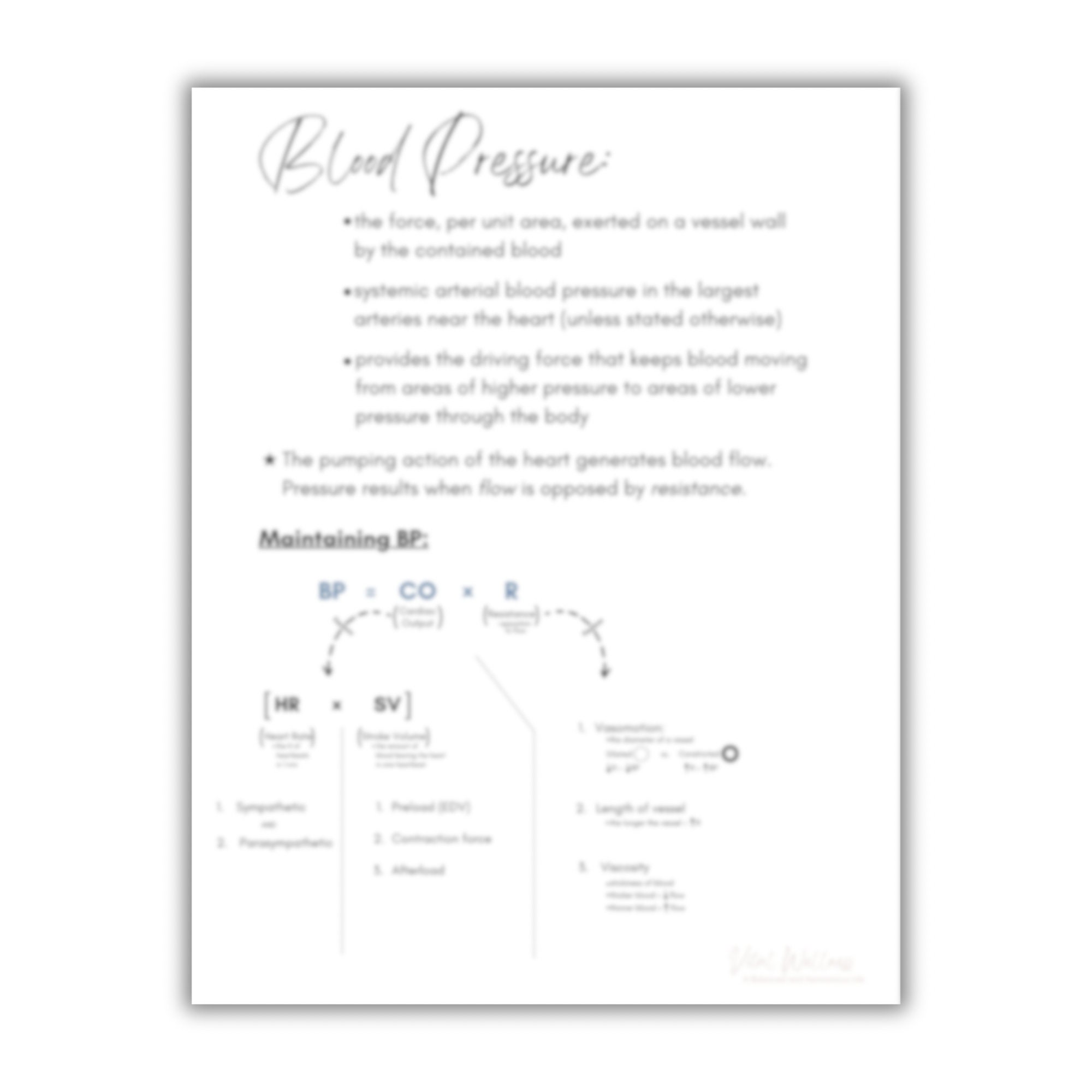 The Components of Cardiac Output & Blood Pressure Bundle - Etsy