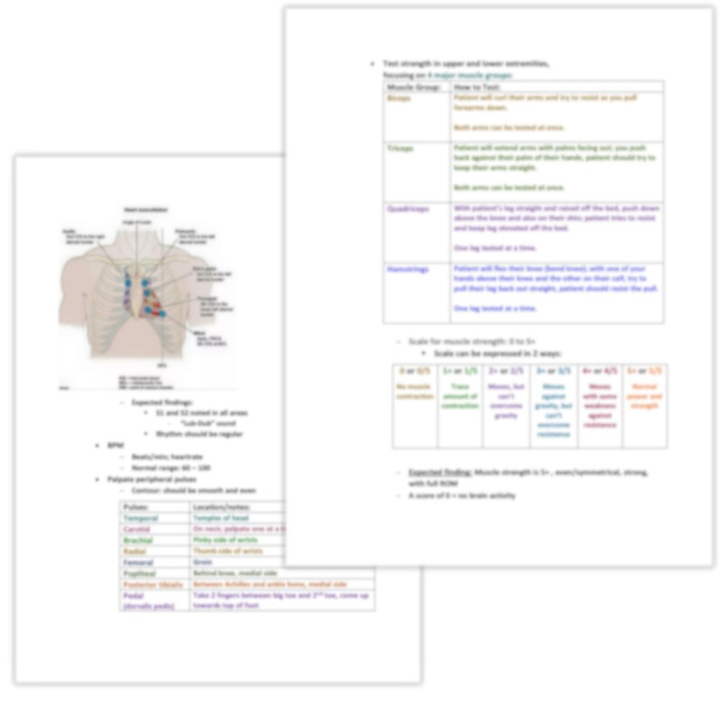 Complete Head to Toe Assessment - Etsy