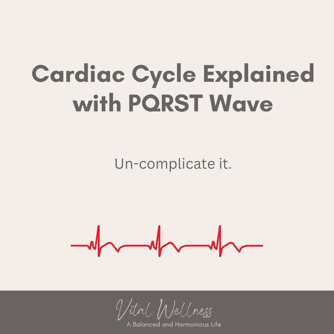 Cardiac Cycle With PQRST Wave - Etsy