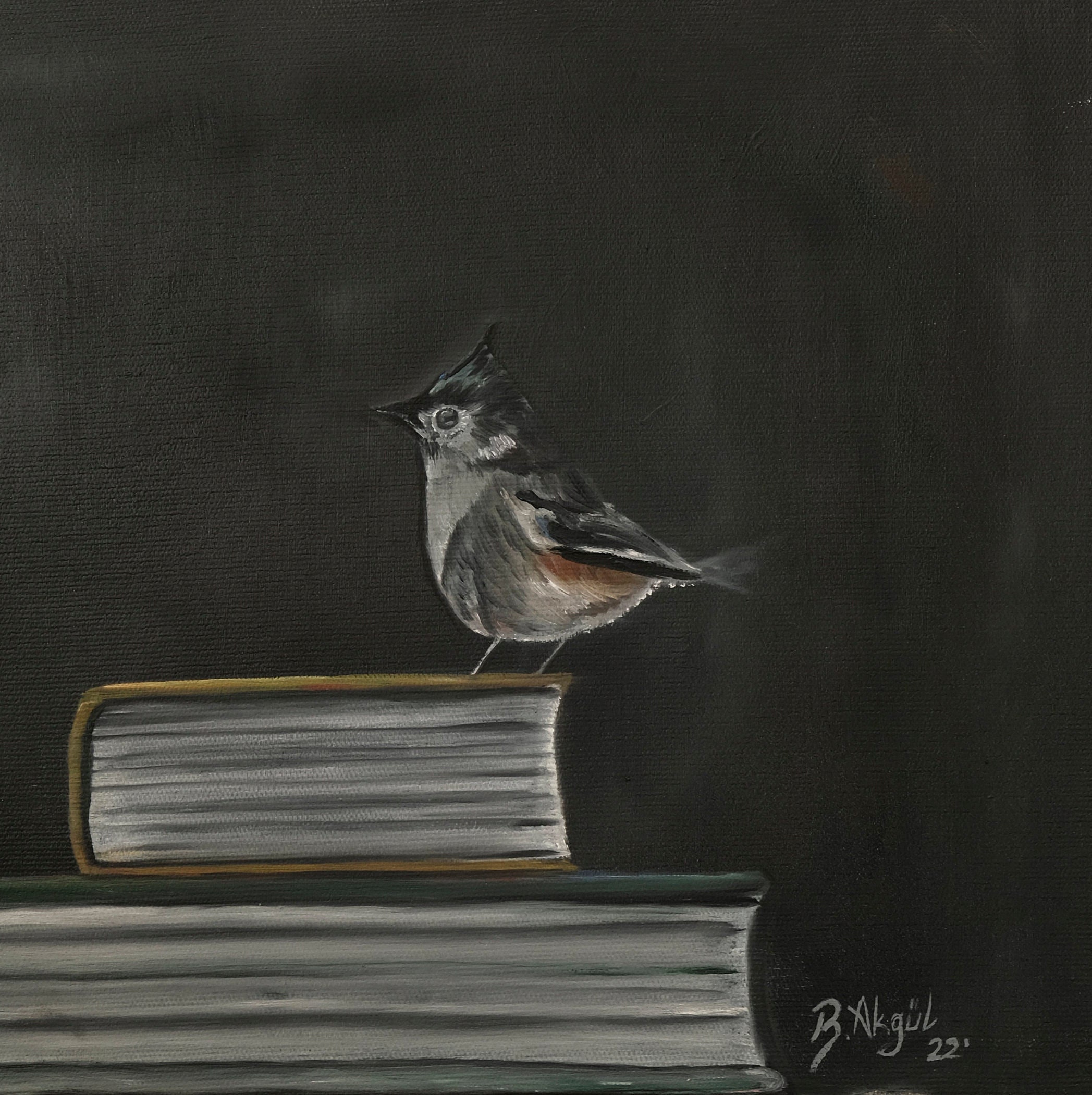 Original Oil Painting Bird Work on Books on 25/35 Cm Canvas - Etsy