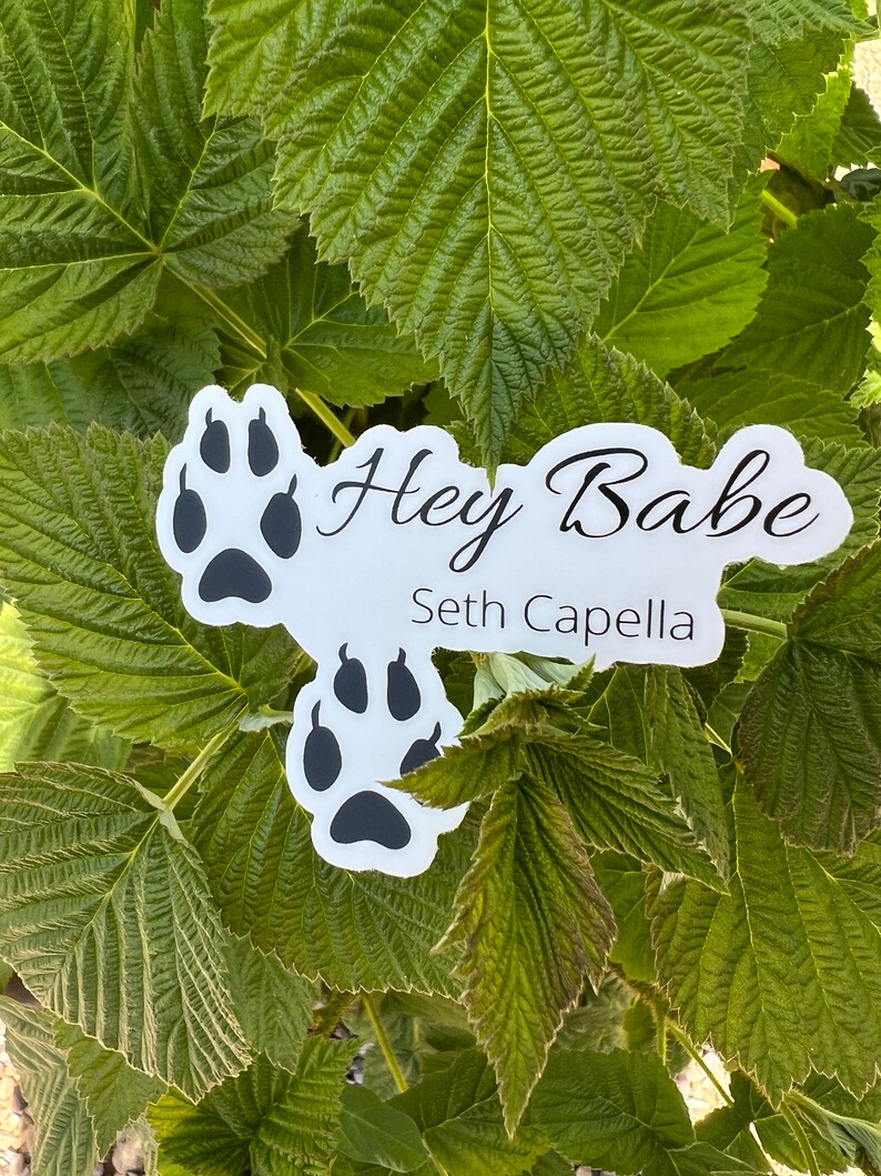 Zodiac Academy Sticker Hey Babe, Seth Capella - Etsy