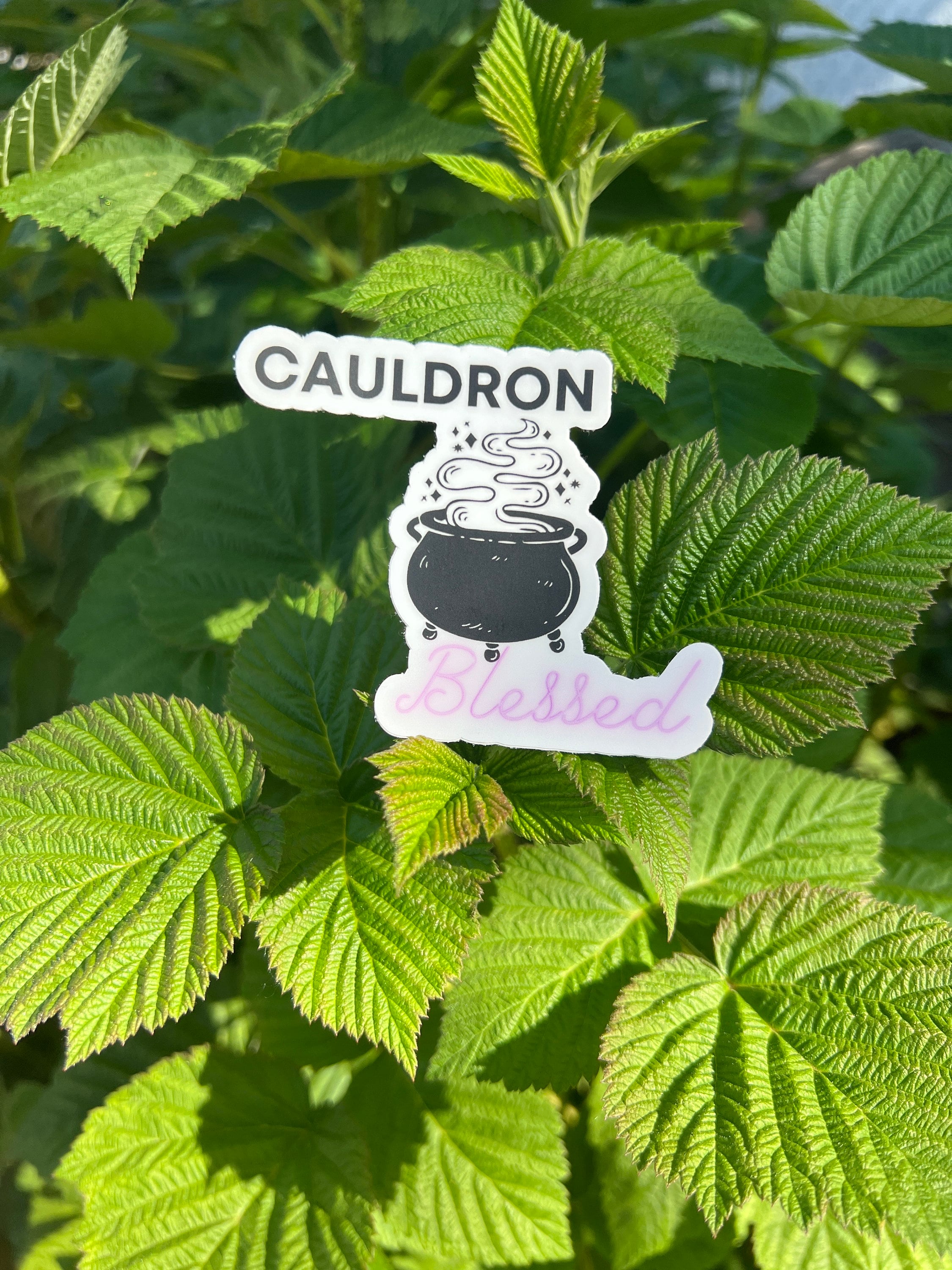 Cauldron Blessed Sticker, Acotar, Book Lover - Etsy