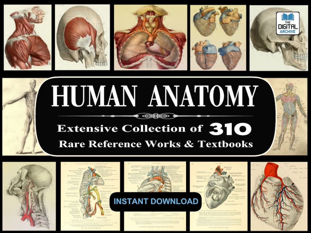 310 ANATOMY BOOKS: Vintage Medical Textbooks, Reference Works & Rare ...