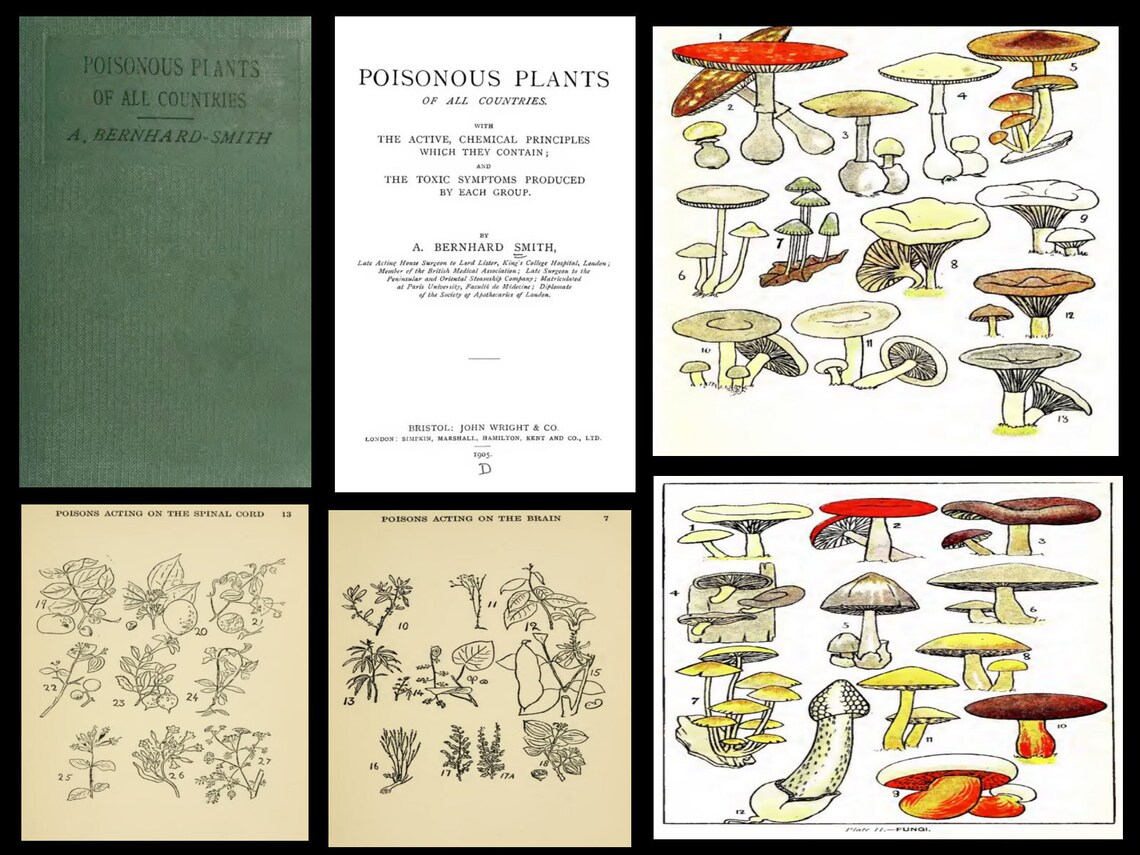 POISONOUS PLANTS - 115 Rare Books - Medical Botany, Toxic, Noxious ...