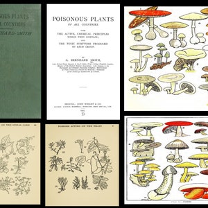 POISONOUS PLANTS - 115 Rare Books - Medical Botany, Toxic, Noxious ...